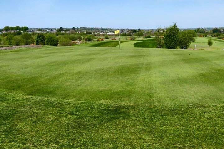 News Archives - Down Royal Park